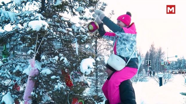 2026.01 Игрушки для ёлочек (Мегион24)