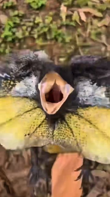 Не знакомлюсь