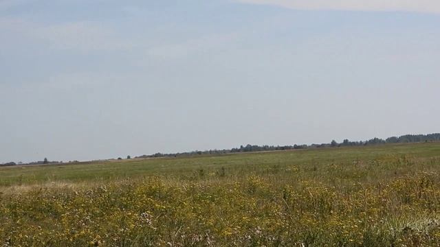 Блудное Поле. Здесь люди ходят по кругу. Даже фокус не срабатывает тут