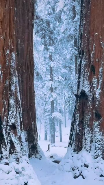 Место силы 🫶🏽