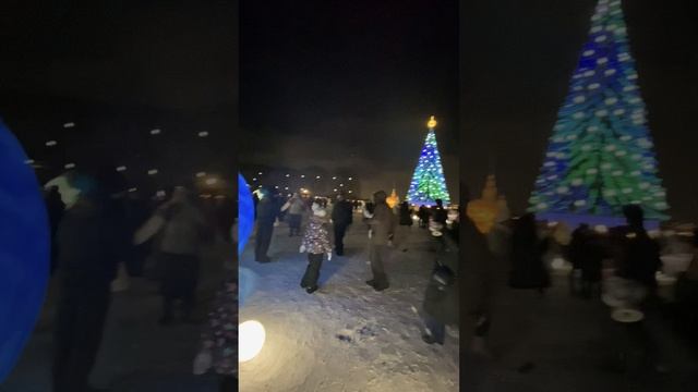 2026 Рождество. Прогулка по центру Санкт-Петербурга.