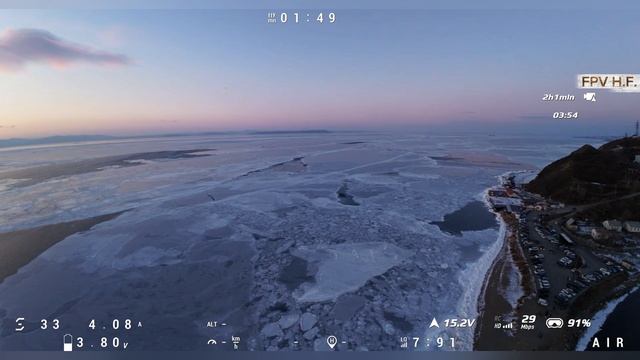 Токаревская кошка. DVR. 01.2026.