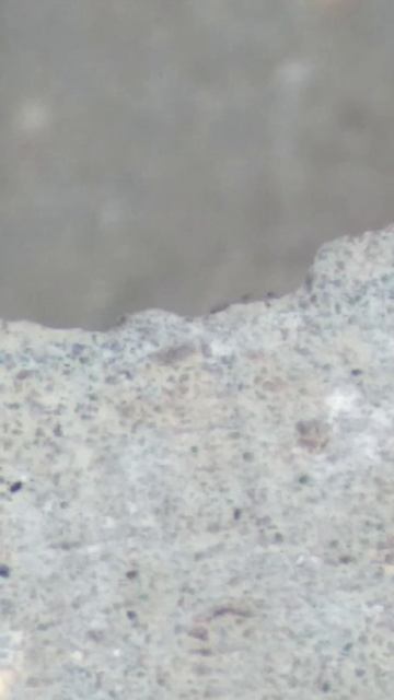 vk_муровей_20200725_160056_1