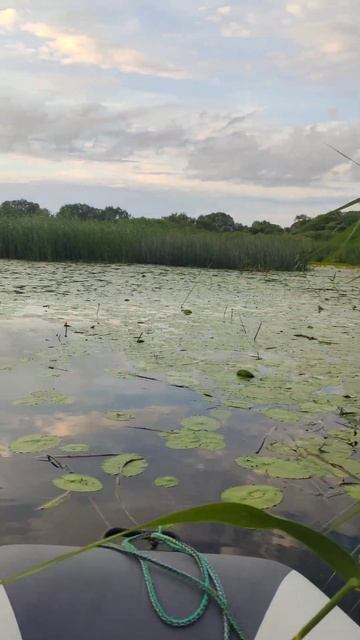 #travel #псков #псковскаяобласть #природа #отдыхналодке #выходные  #путешествие