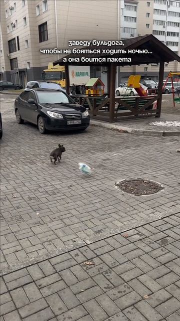 Нападение пакета