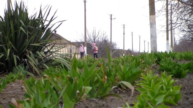 Охримовка - 35.