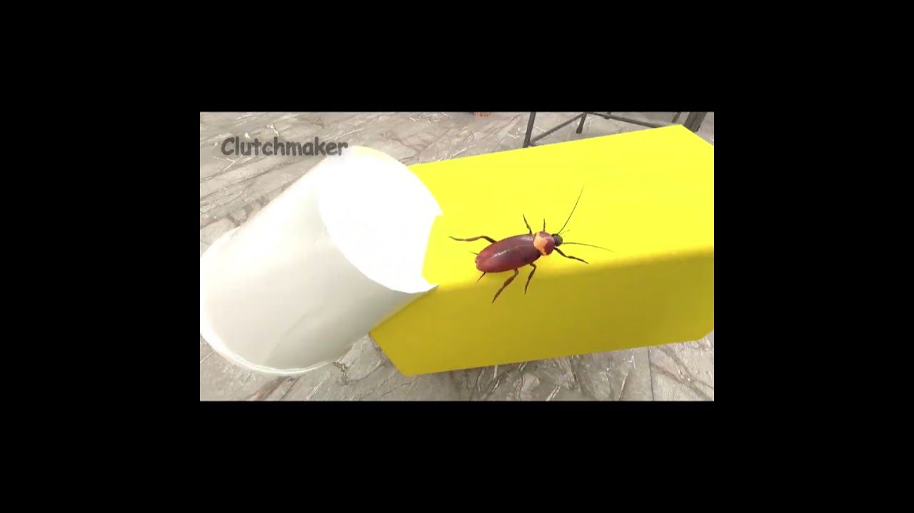 POV: When I'm trying to catch a bug☠️