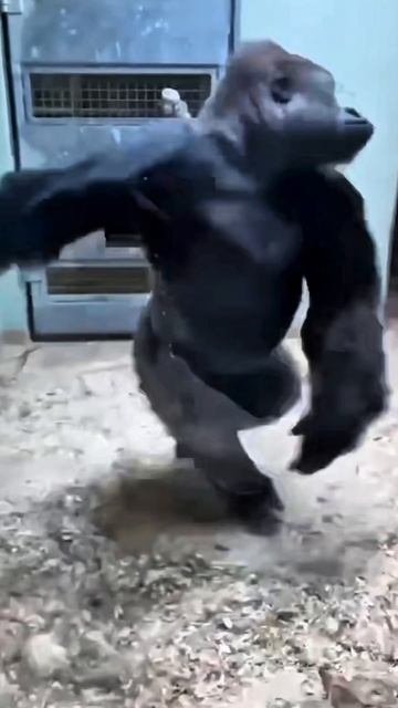 Ох я красивый