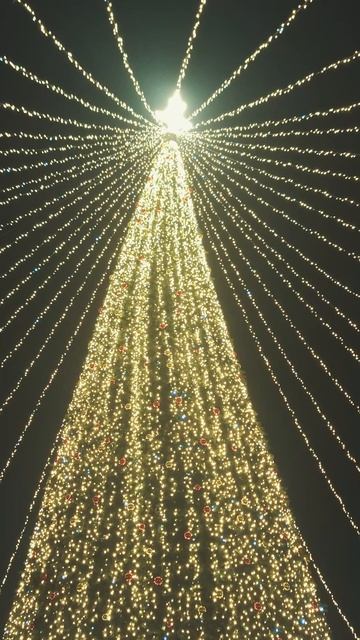 Новогодняя ёлка 2026 в Керчи.