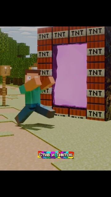 Стив и Тикток