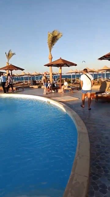 #beautiful #egypt #hurghada #travel #египетзимой #новогодние #египет #хургада #пляж #бассейн #beach