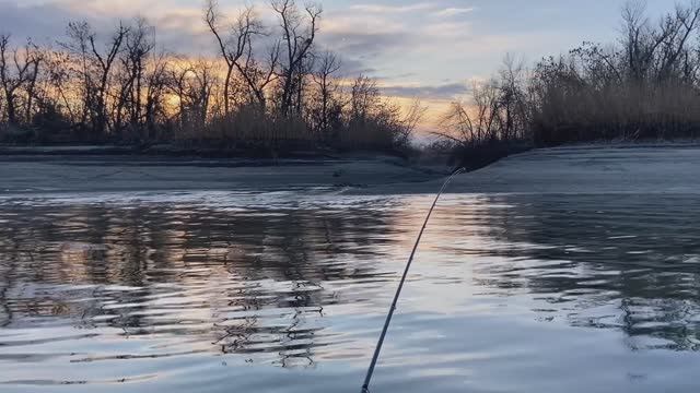 Рыболовные качели