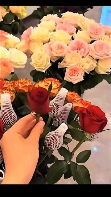 Чтоб девушка расцвела нужно... #юмор #прикол #девушка #расцвела #папатрехпринцесс #шутка #смех #рек