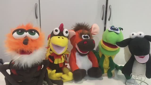 ВидеоОбзор на МАППЕТОВЖивотныенасекомые