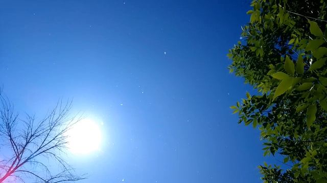 Немного лета...