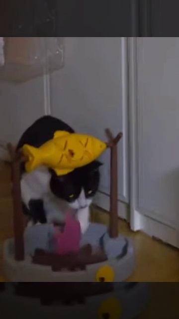 Не понял где еда