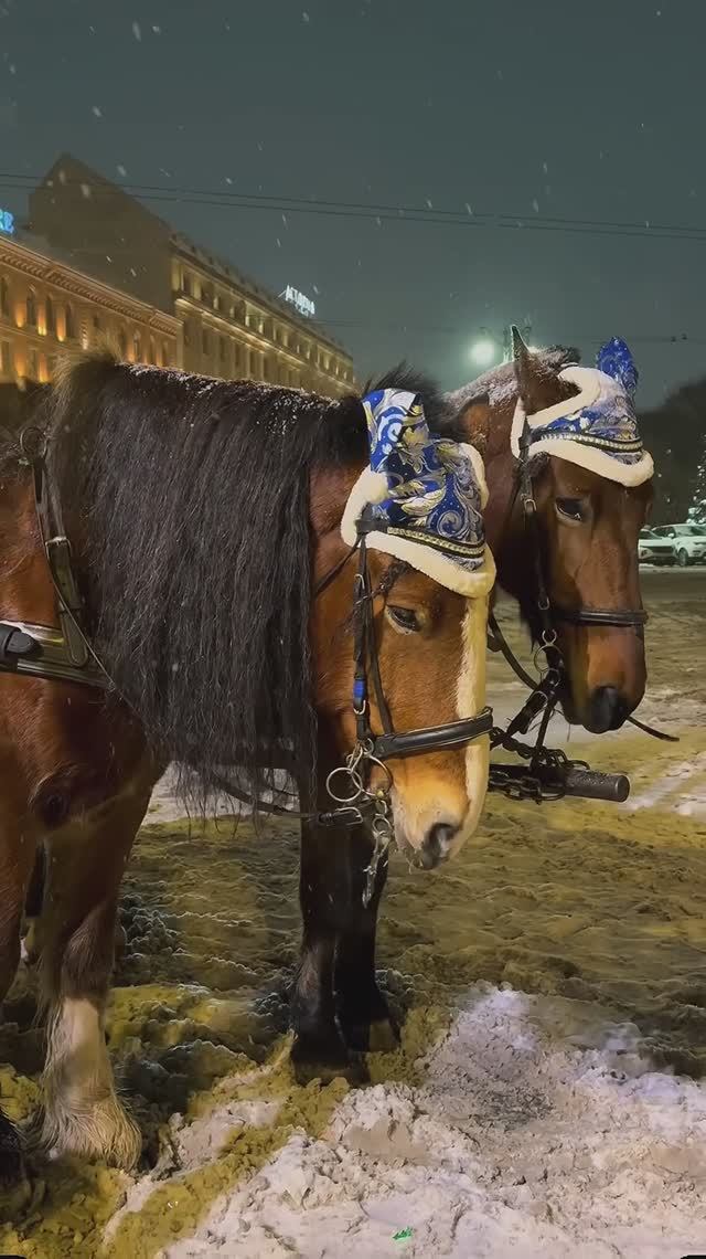 Праздничный Петербург