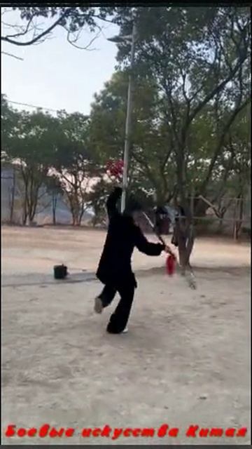 Традиционные боевые искусства, женская версия современного Ло Чжишэня