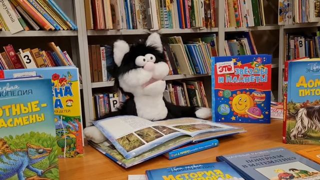 Кот Барсик в библиотеке  ⬛