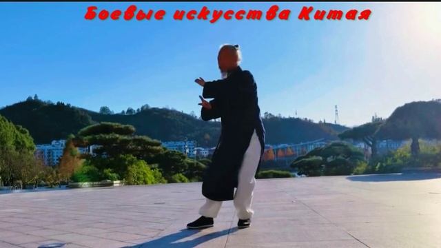 Удан Тайи Юлунцюань