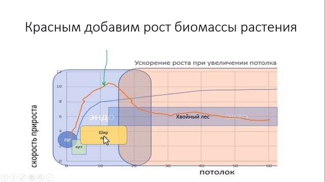 сукцессия микориза 2. Видео 4. арбускулярная - в экто - микоризу, луг -  в лес и ельник