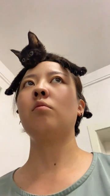 Под управлением