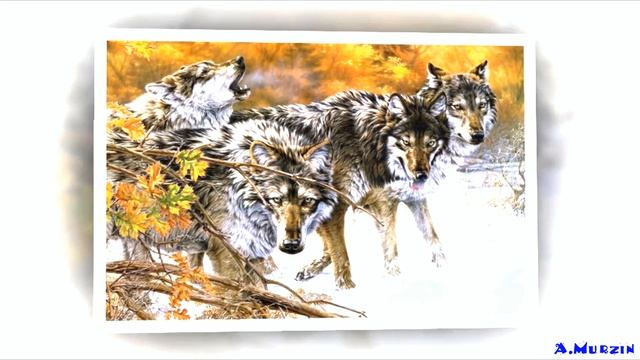 Stive Morgan - Galaxy Dreams