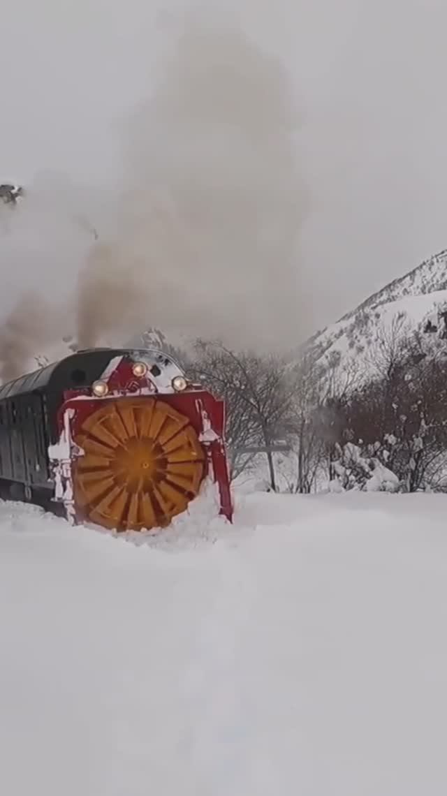 Откапался уже ❄️ 🚂? Подпишись 👉 