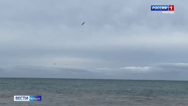 В некоторых районах Крыма бушует ураганный ветер