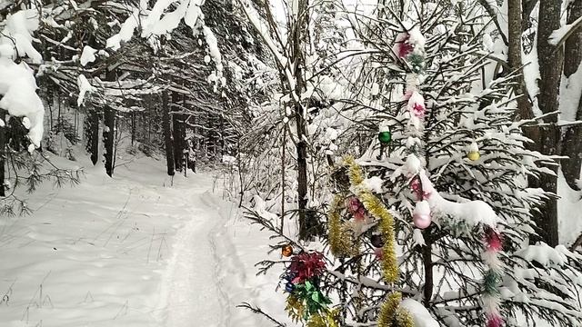 Встреча с новогодней ёлочкой в лесу