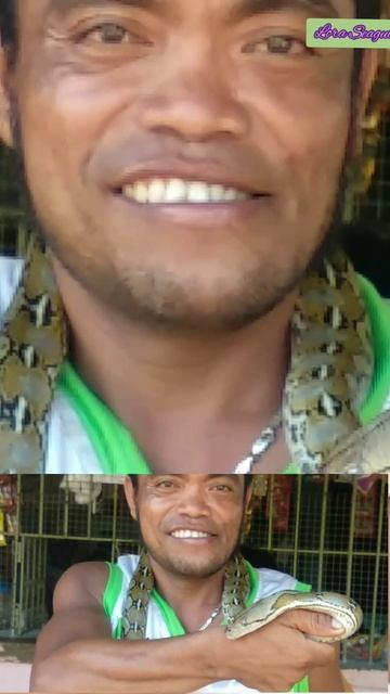 Филиппинский укротитель питона #филиппины #путешествия #море