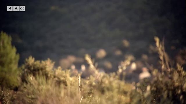 SO3 B2 U2 BBC Programmes