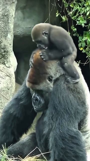 Пусть мама услышит #приколы