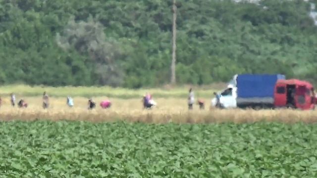 Охримовка - 41.