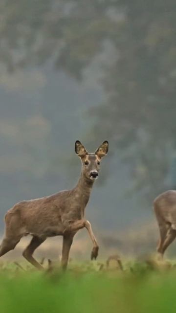 Ты меня не снимай #приколы