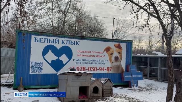 Вести Карачаево-Черкесия 28.12.2025