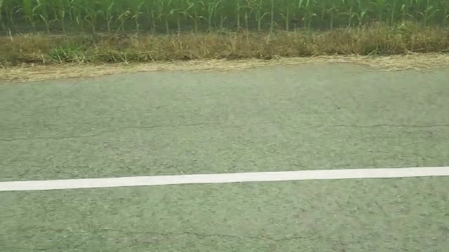 Панорама_испр