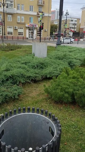 №783 Комсомольский проспект. 24 сентября 2025 г., 14:52:52 VID_20250924_145242112