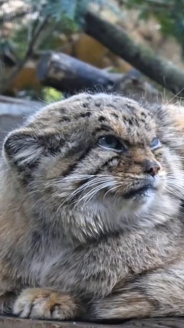 Где правда #приколы