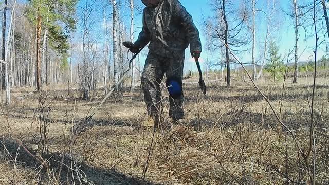 ШИКАРНЫЙ ЛЕСНОЙ КОП