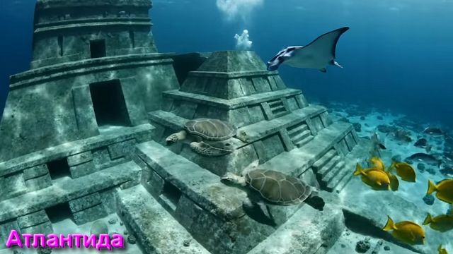 Воспитание  или способ питания Тонких Тел