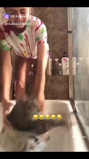 Приколы с животными