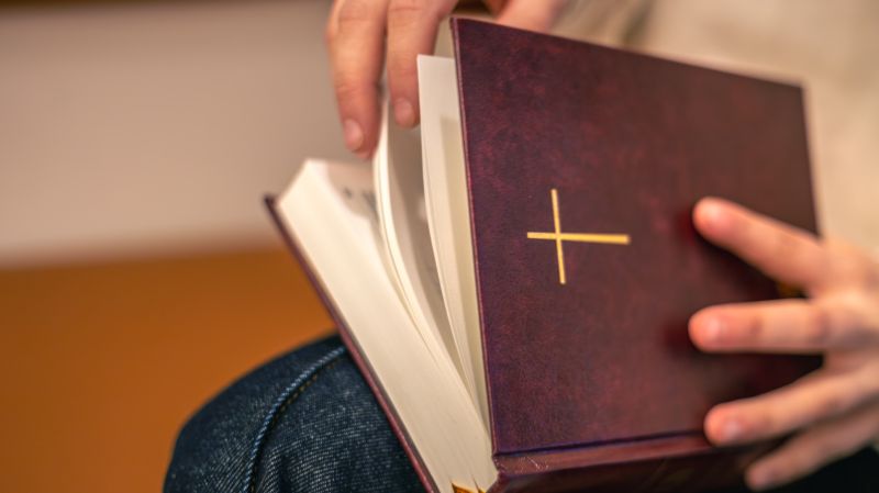 6. Работа с приложением. Руководство по приложению MyBible (Лилия).