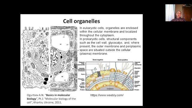 Molecular and Cell Biology L1.4 Prokaryotic and Eukaryotic cells