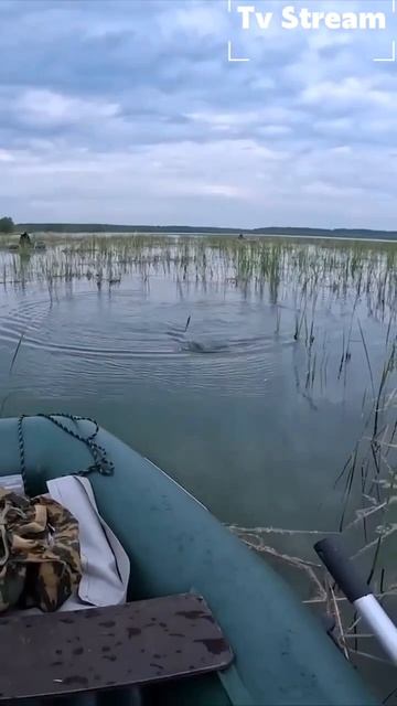 Ловлю шикарного Карася на поплавок 🎣с лодки.🚤