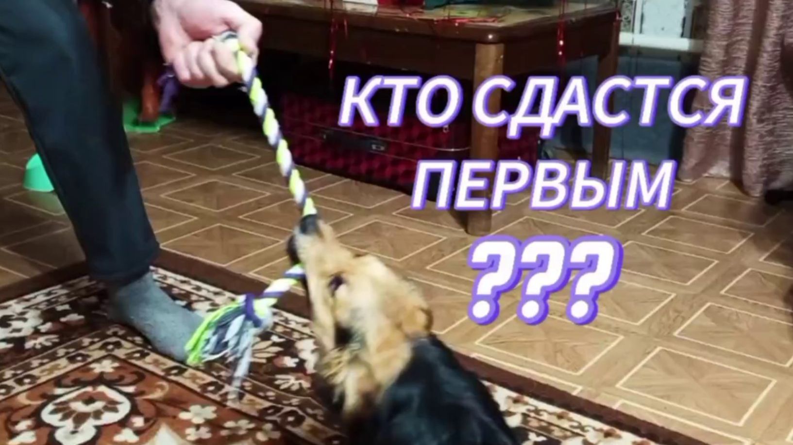 Посмотри до конца- кто выиграет?