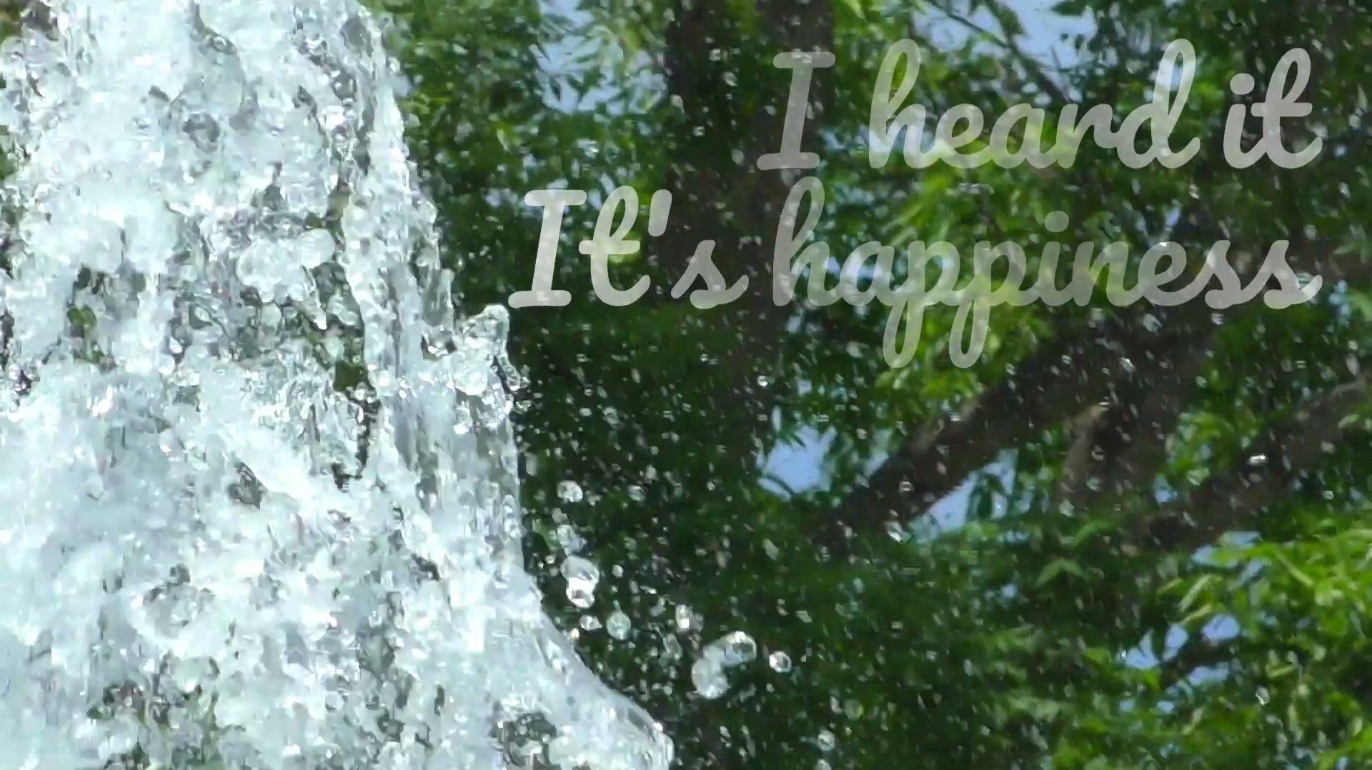 I heard it - it's happiness