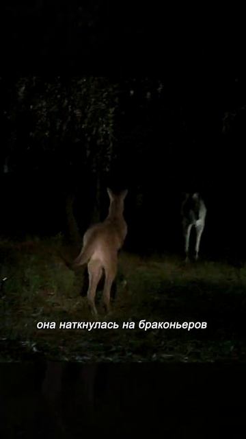 Краткий пересказ фильма