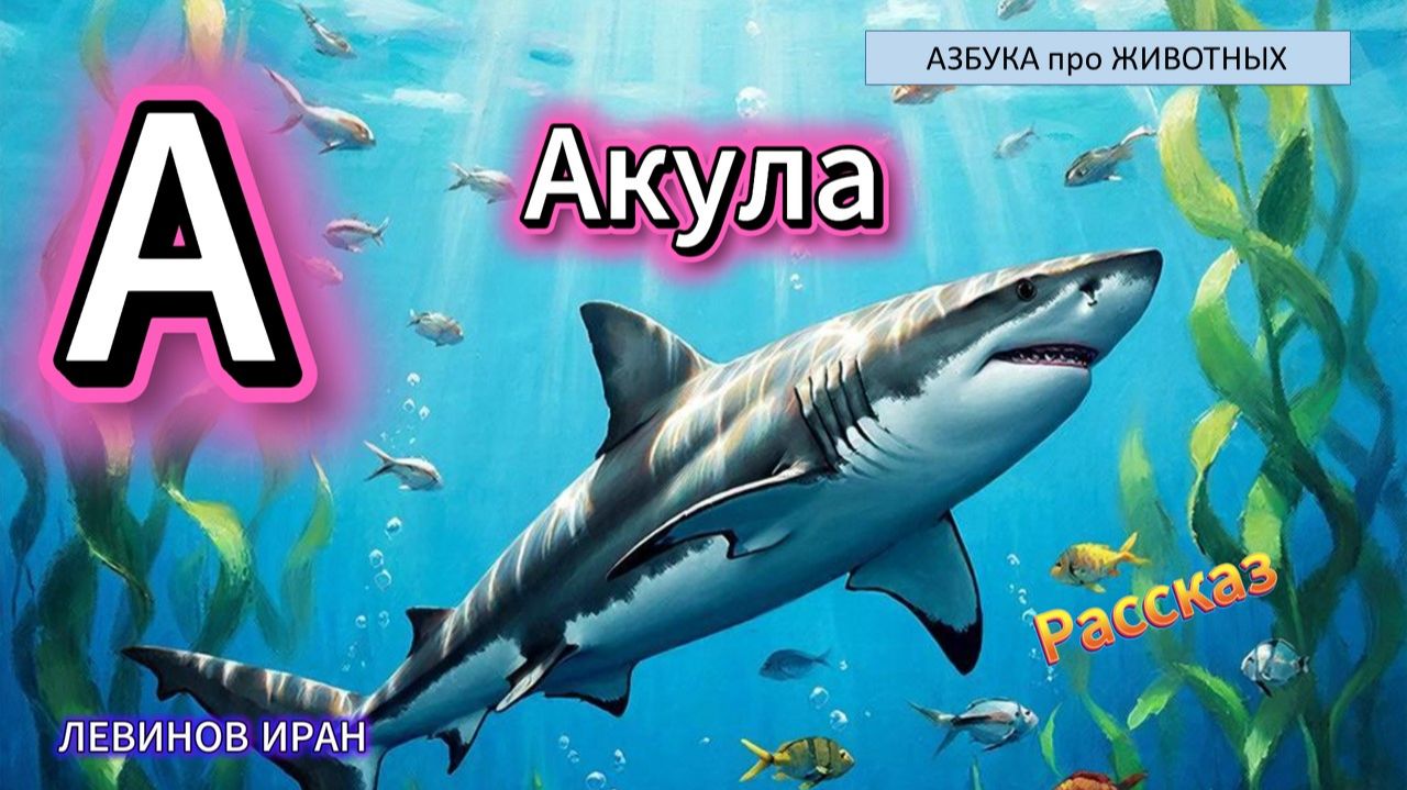 Алфавит Азбука Просто: Мир животных и птиц в алфавитном порядке. А. Акула. Автор поэт Левинов Иран