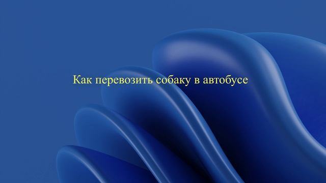 Как перевозить собаку в автобусе